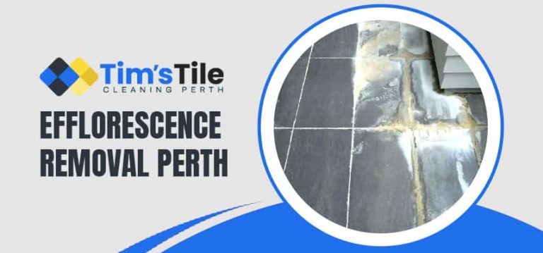 Efflorescence Removal Perth | Professional Tile Cleaners